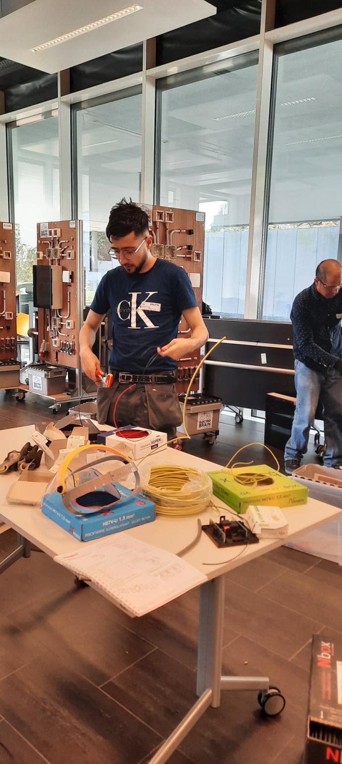 Electro Brain | Volta