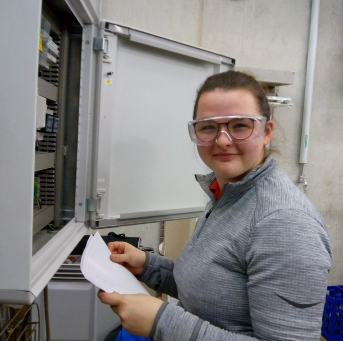 Electro Brain | Volta